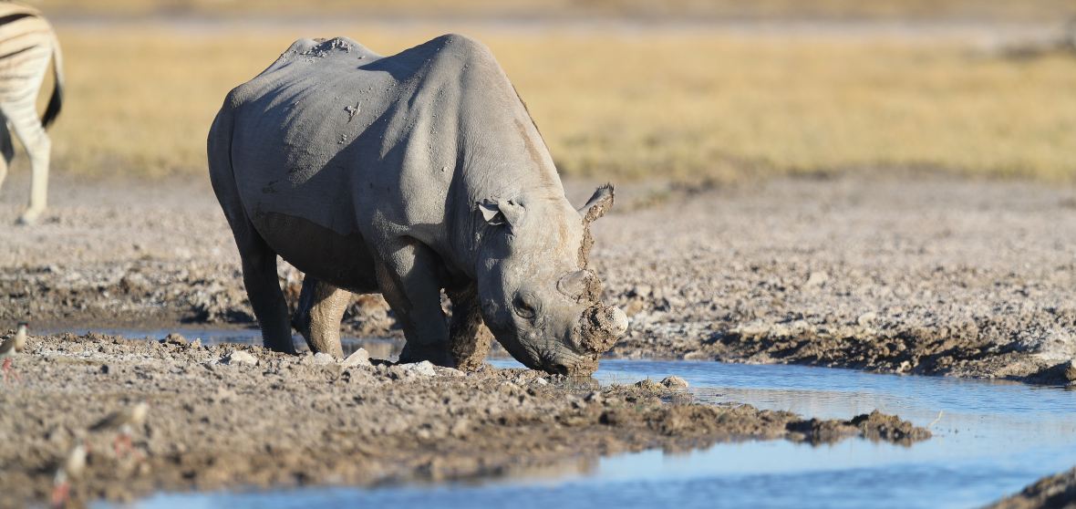 Mpika Travel Guide 2023 - Things to Do, What To Eat & Tips | Trip.com