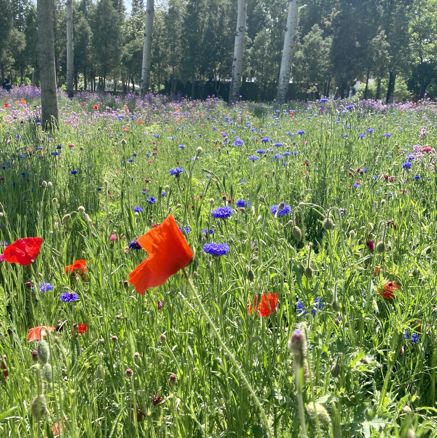 Baoding 2022 Top Things to Do - Baoding Travel Guides - Top Recommended ...