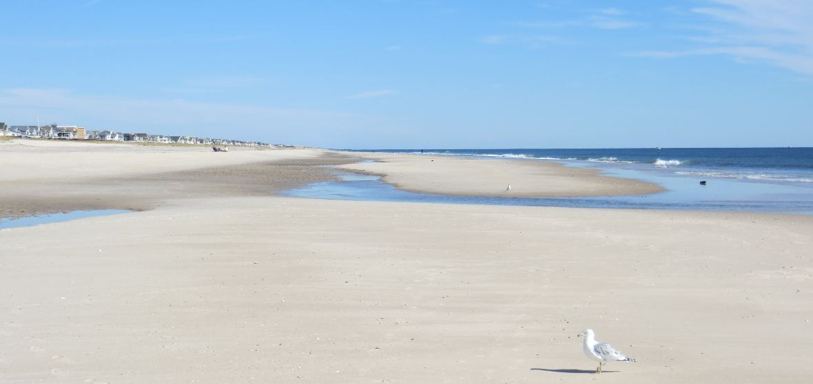 กิจกรรมน่าทำยอดนิยมในWesthampton Beachประจำปี 2022 - คู่มือท่องเที่ยว ...