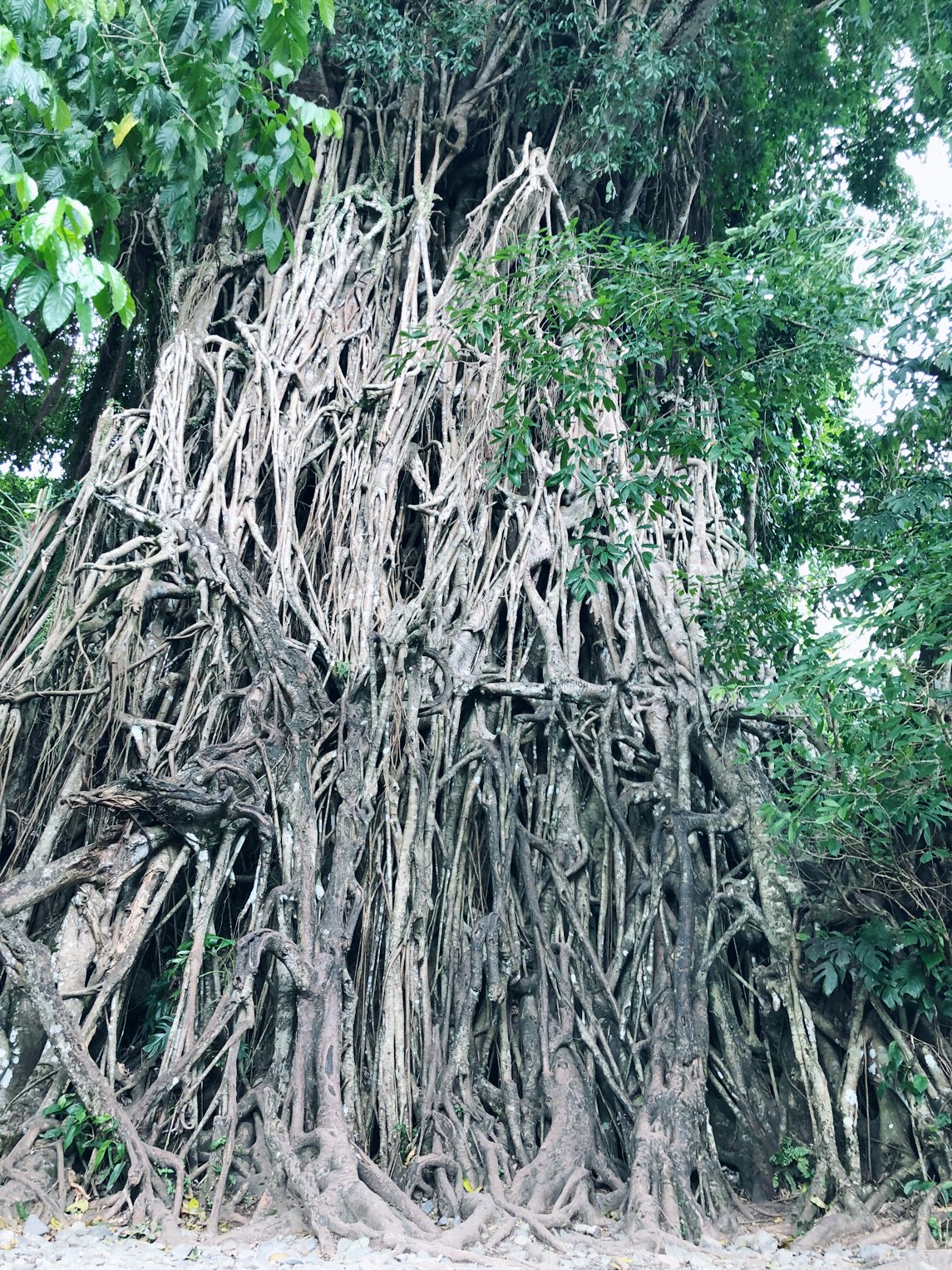 Baler 2022 Top Things to Do - Baler Travel Guides - Top Recommended ...