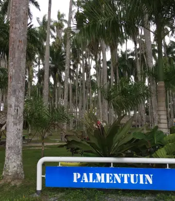 絶対に行くべきスリナムの観光スポット | トリップドットコム