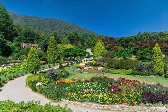 How to Spend 3 Days in Gapyeong-gun - A Complete Itinerary for Gapyeong ...