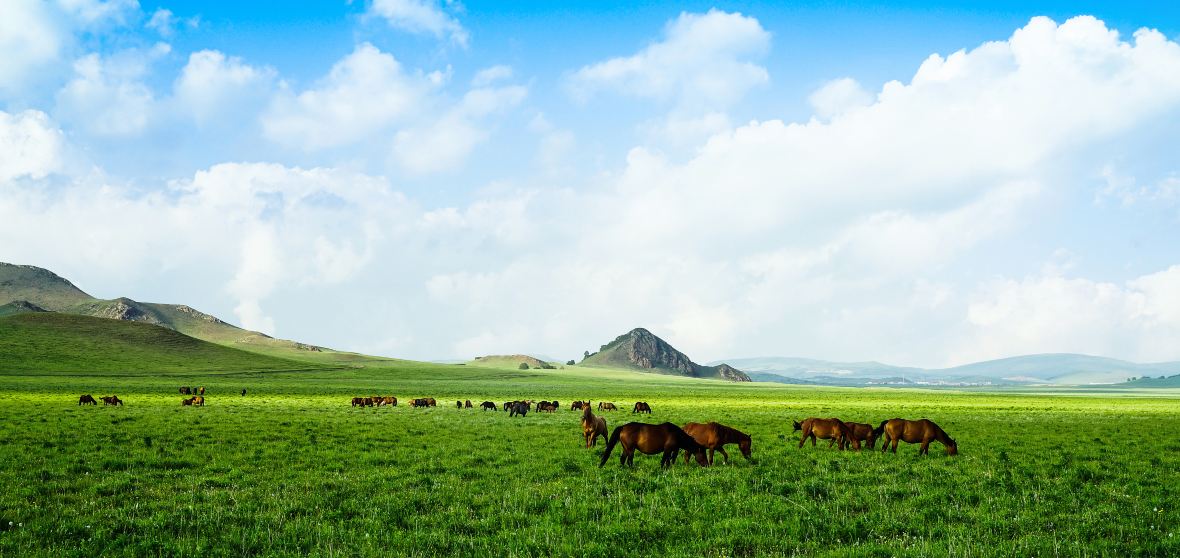 Chifeng Travel Guide 2023 - Things to Do, What To Eat & Tips | Trip.com