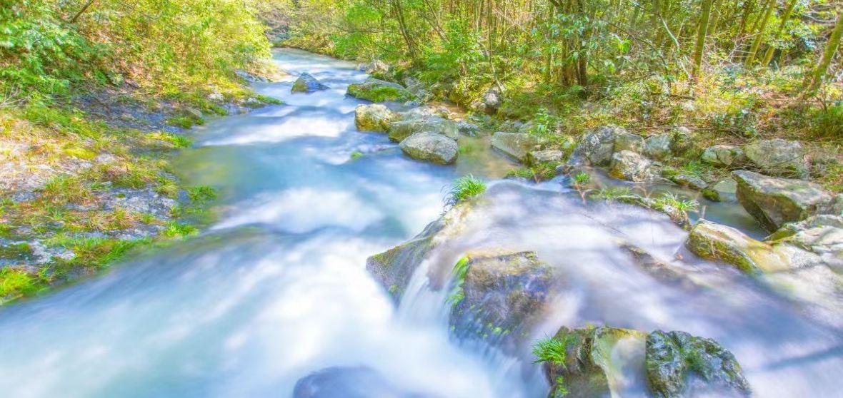 Longhui Travel Guide 2023 - Things to Do, What To Eat & Tips | Trip.com