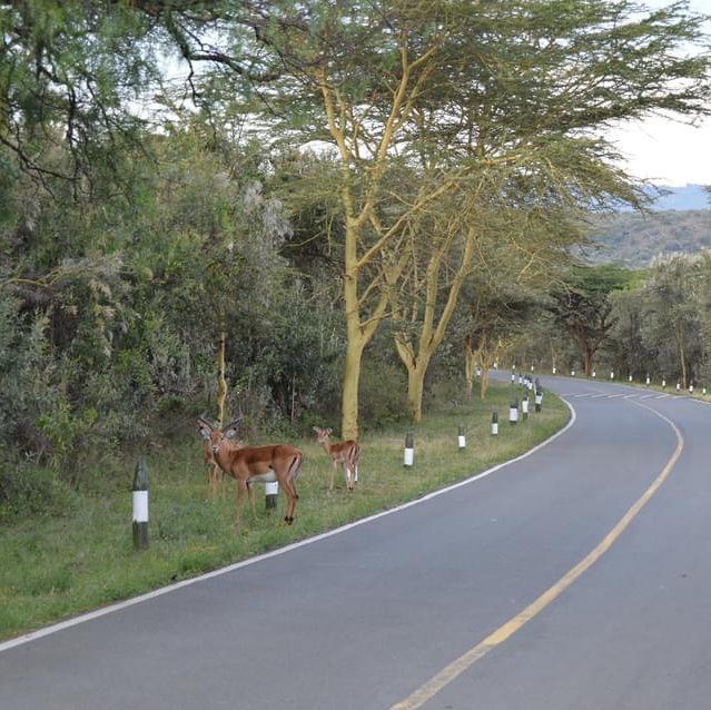 Naivasha 2022 Top Things to Do - Naivasha Travel Guides - Top ...