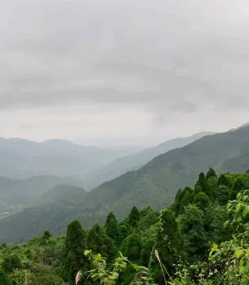 10 Best Things to do in Beiliu, Yulin - Beiliu travel guides 2022– Trip.com