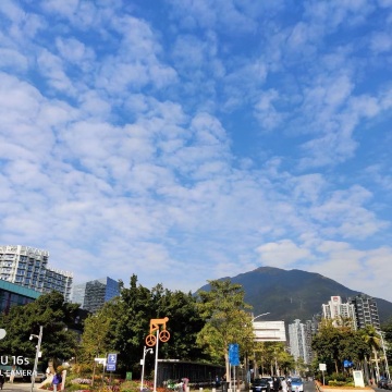 Jinyun 2022 Top Things to Do - Jinyun Travel Guides - Top Recommended ...