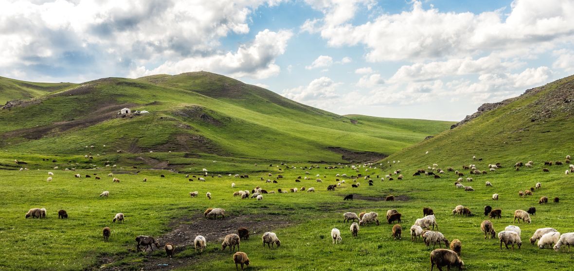 Tachengshi Travel Guide 2023 - Things to Do, What To Eat & Tips | Trip.com