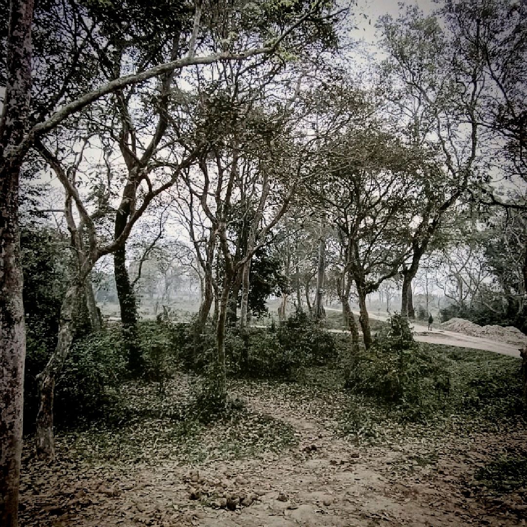 Nagaon 2022 Top Things to Do - Nagaon Travel Guides - Top Recommended ...