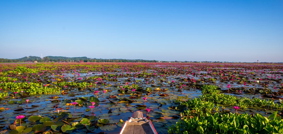 Phatthalung Province Travel Guide 2023 - Things to Do, What To Eat ...