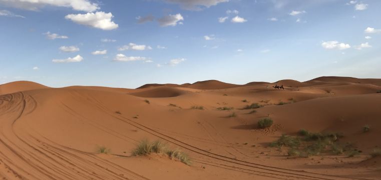 Meknes Travel Guide 2023 - Things to Do, What To Eat & Tips | Trip.com