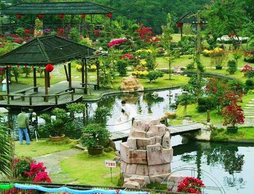 Travel Wuzhou Itinerary:1 day Must-do list in Wuzhou - Trip.com