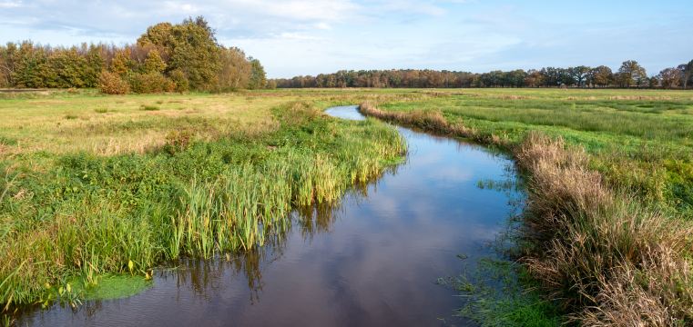 กิจกรรมน่าทำยอดนิยมในBalkbrugประจำปี 2023 - คู่มือท่องเที่ยวBalkbrug ...