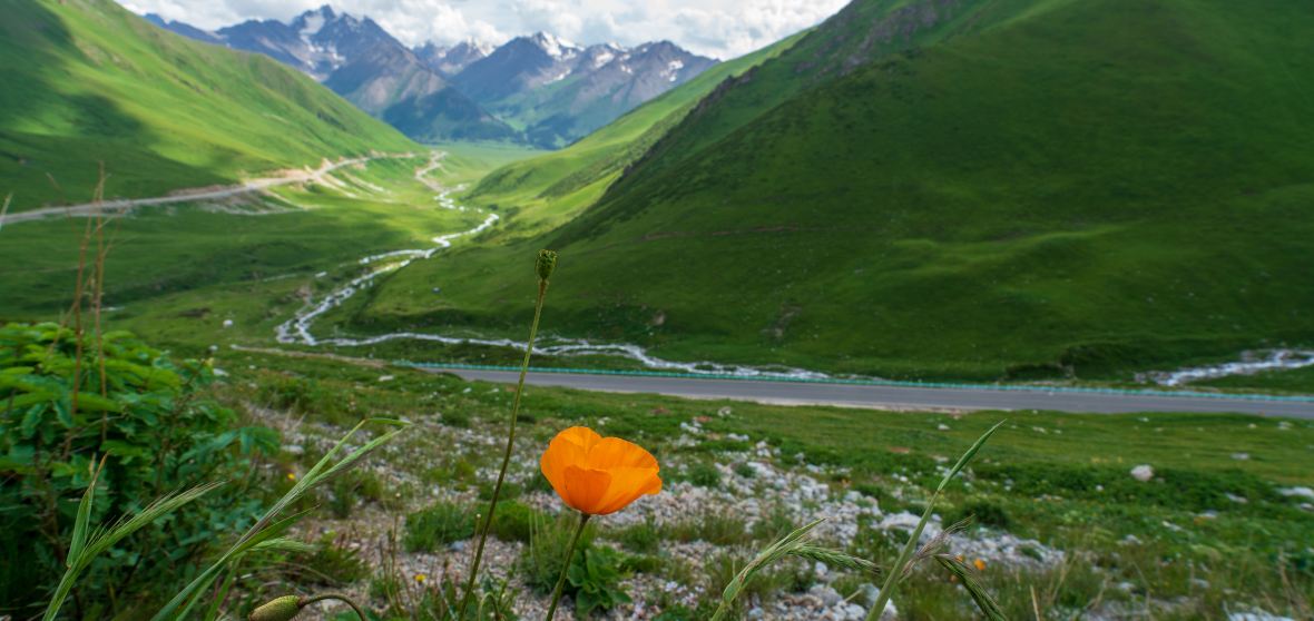 Kokdala Travel Guide 2023 - Things to Do, What To Eat & Tips | Trip.com