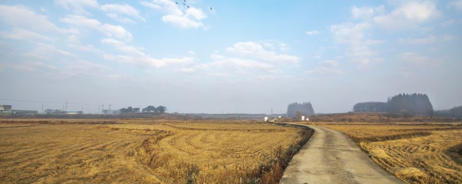 【2024年】平沢市の人気観光スポット・旅行ガイド・グルメ情報満載 | Trip.com