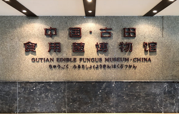 Travel Gutian Itinerary:1 day Must-do list in Gutian - Trip.com