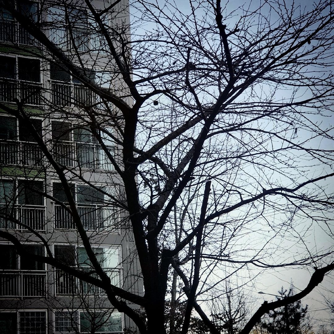 Ansan 2022 Top Things to Do - Ansan Travel Guides - Top Recommended ...