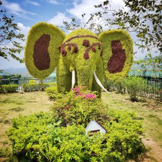 Heyuan 2022 Top Things to Do - Heyuan Travel Guides - Top Recommended ...