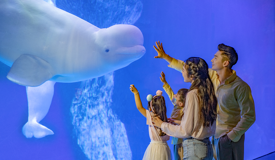 5 Days in Wuhan: What to Do and See in Wuhan - Trip.com