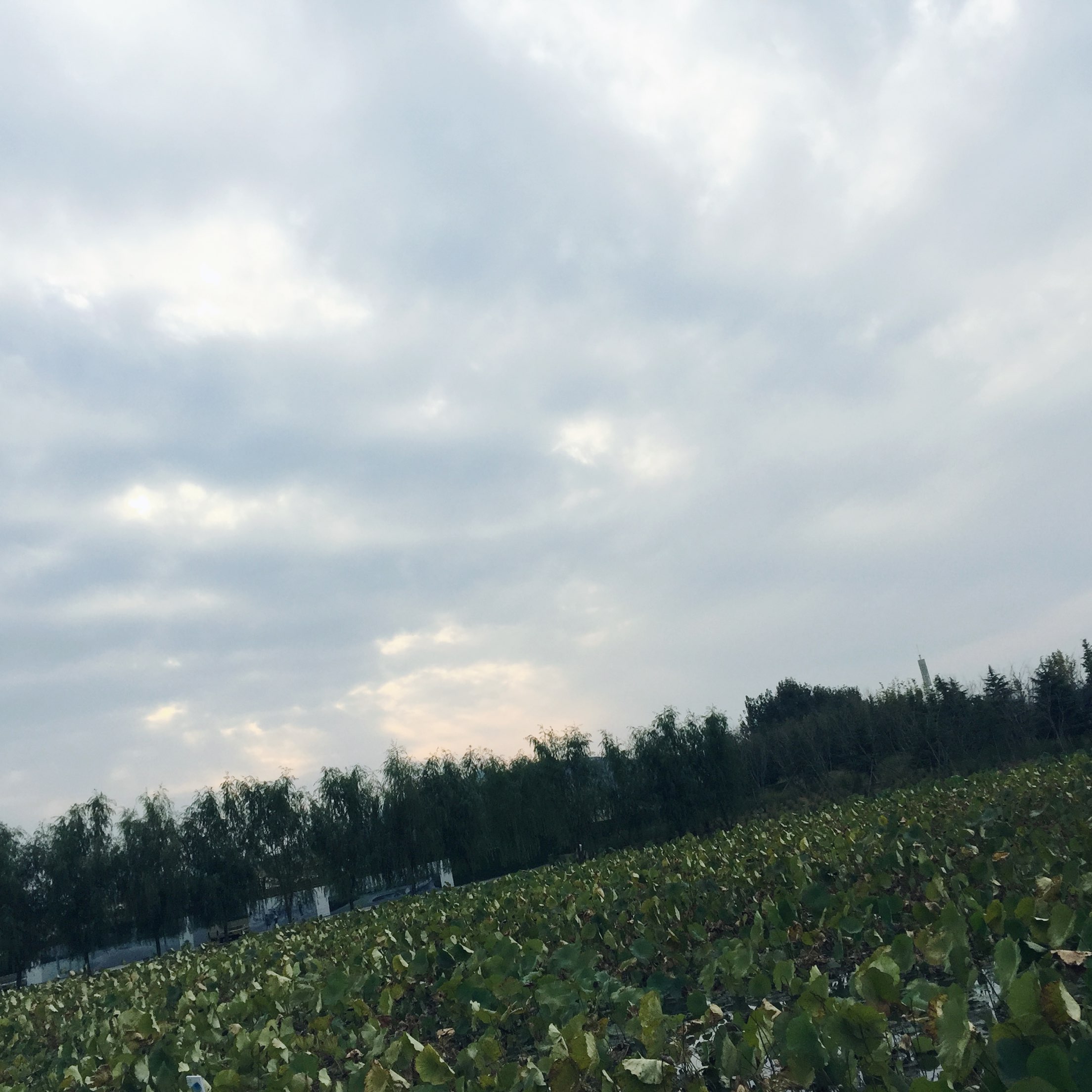 10 Best Things to do in Rizhao, Shandong - Rizhao travel guides 2022 ...