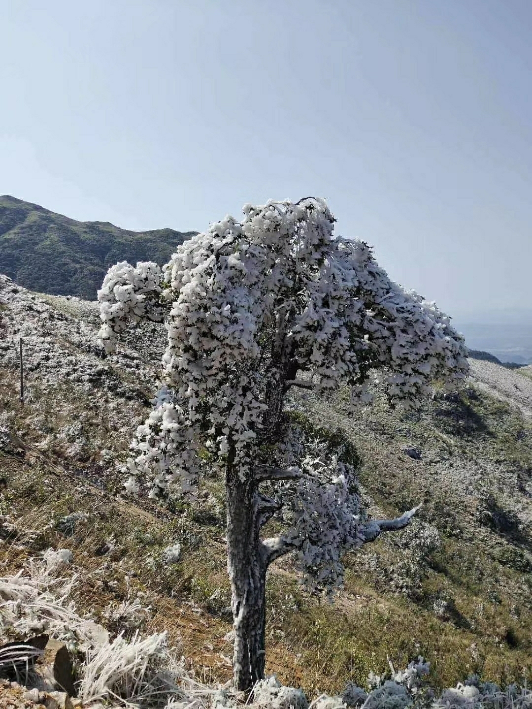 1 Day Fuchuan Itinerary: Best Places to Visit in Fuchuan - Trip.com