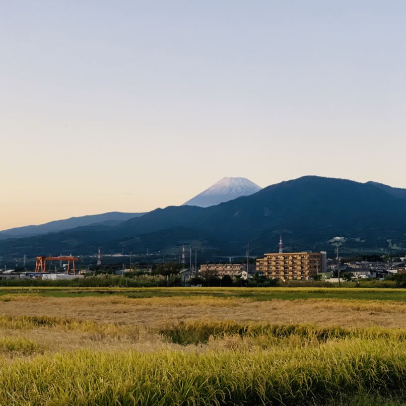 Numazu 2022 Top Things to Do - Numazu Travel Guides - Top Recommended ...