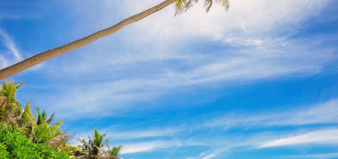 Miami Springs Travel Guide 2023 - Things to Do, What To Eat & Tips ...