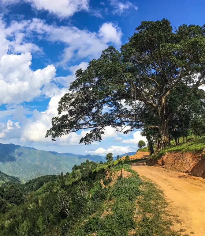 Shan 2023 Top Things to Do - Shan Travel Guides - Top Recommended Shan ...