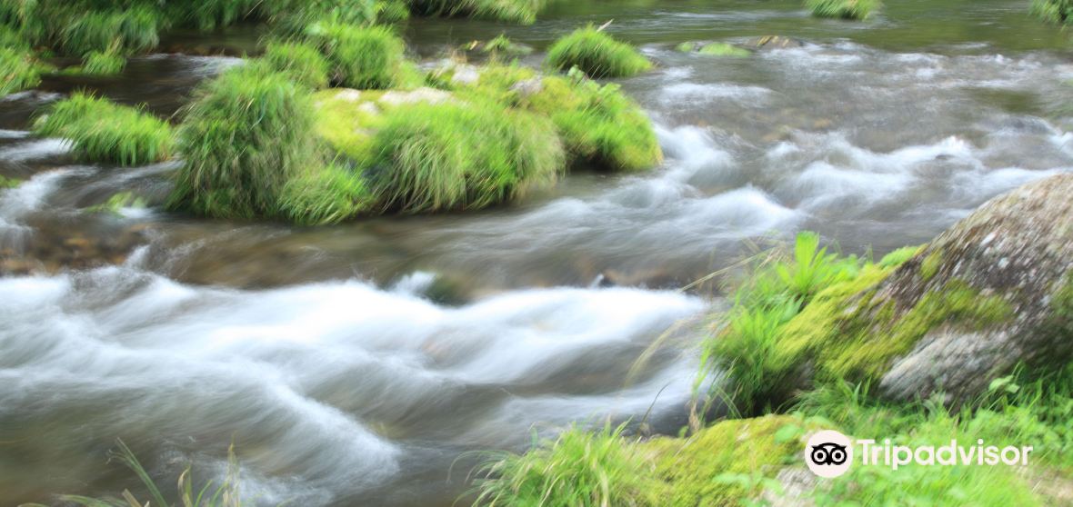 Akiruno 2023 Top Things to Do - Akiruno Travel Guides - Top Recommended ...