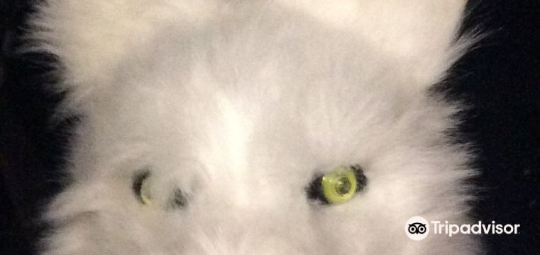 Taber Travel Guide 2023 - Things to Do, What To Eat & Tips | Trip.com