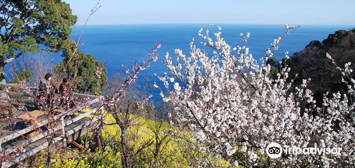 2023熱海市熱門推薦活動－熱海市旅遊攻略－熱海市人氣推介景點門票、酒店、好去處、餐飲及餐廳－Trip.com