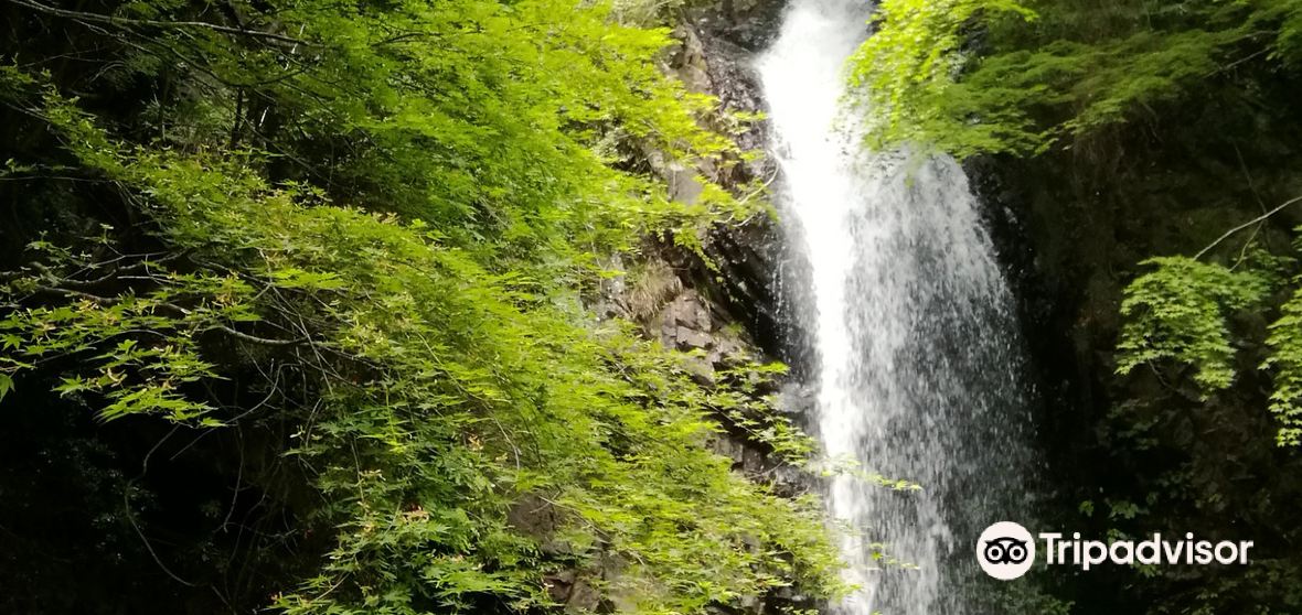 Iga Travel Guide 2023 - Things to Do, What To Eat & Tips | Trip.com