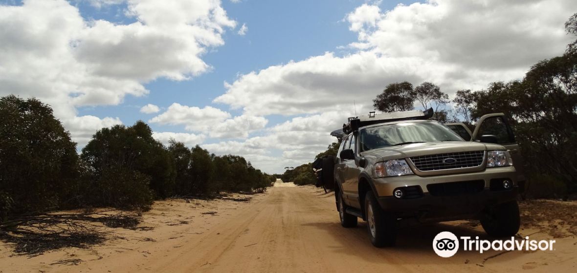 กิจกรรมน่าทำยอดนิยมในYaapeetประจำปี 2022 - คู่มือท่องเที่ยวYaapeet ...