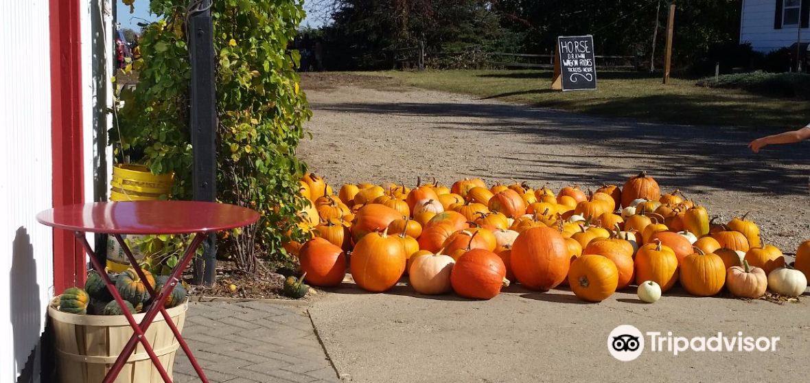 Gratiot County Travel Guide 2024 - Things to Do, What To Eat & Tips ...