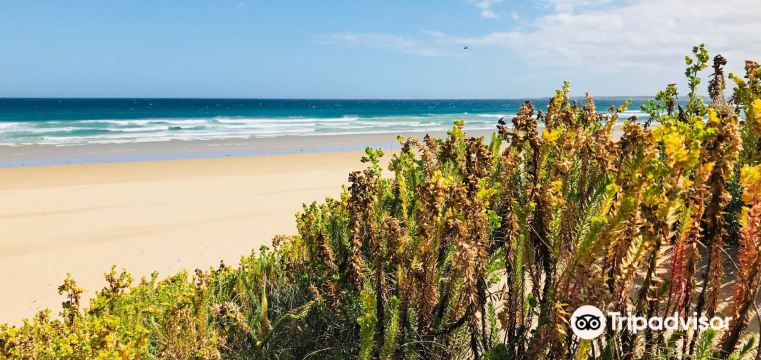 Venus Bay Travel Guide 2023 - Things to Do, What To Eat & Tips | Trip.com