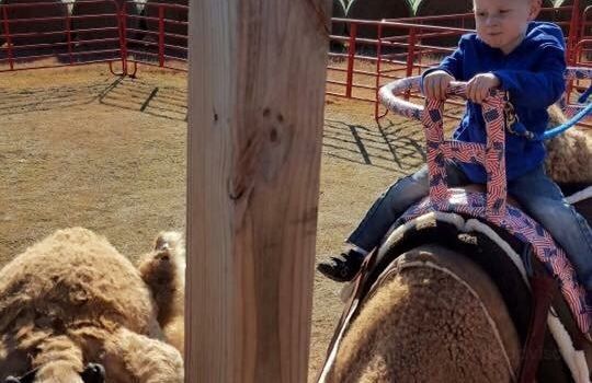 Alva Travel Guide 2023 - Things to Do, What To Eat & Tips | Trip.com