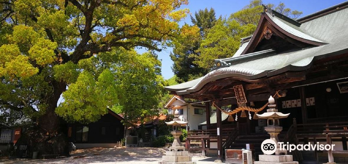 Mihara Travel Guide 2023 - Things to Do, What To Eat & Tips | Trip.com