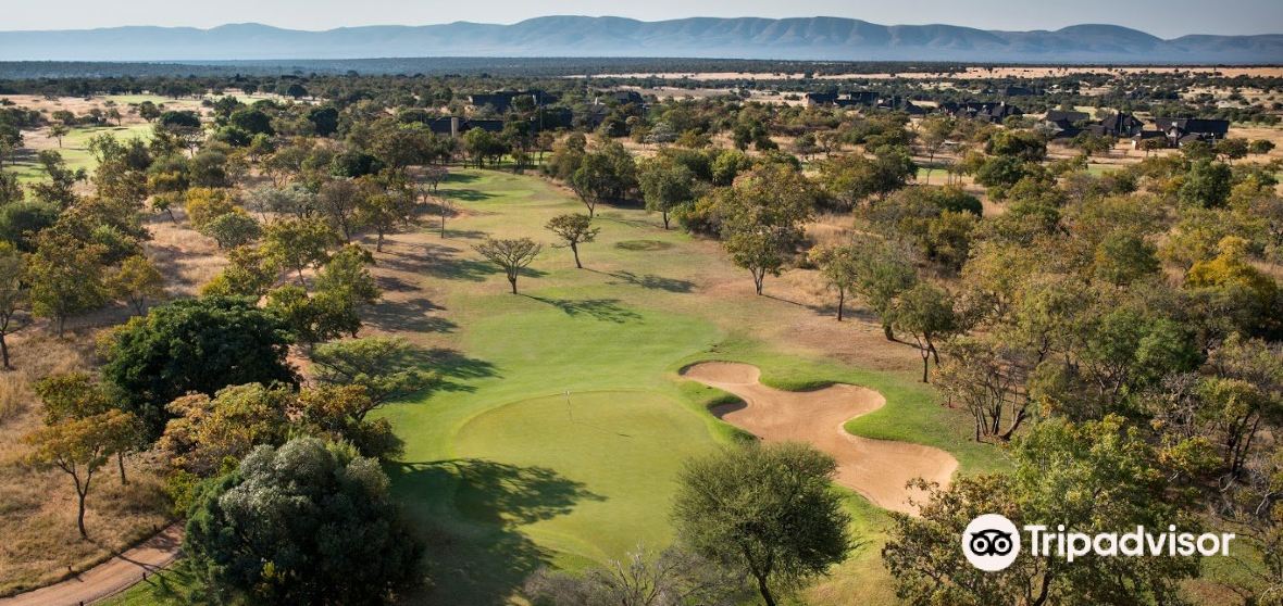 Bosveld 2023 Top Things to Do - Bosveld Travel Guides - Top Recommended ...