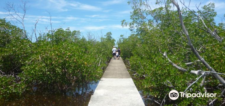 Niquero Travel Guide 2023 - Things to Do, What To Eat & Tips | Trip.com