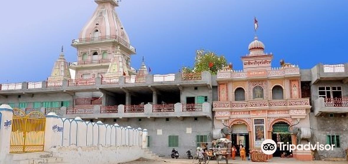 Bathinda 2023 Top Things to Do - Bathinda Travel Guides - Top ...