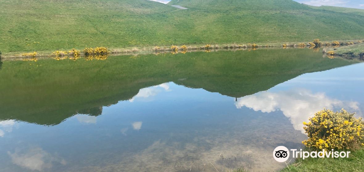 Cramlington Travel Guide 2023 - Things to Do, What To Eat & Tips | Trip.com