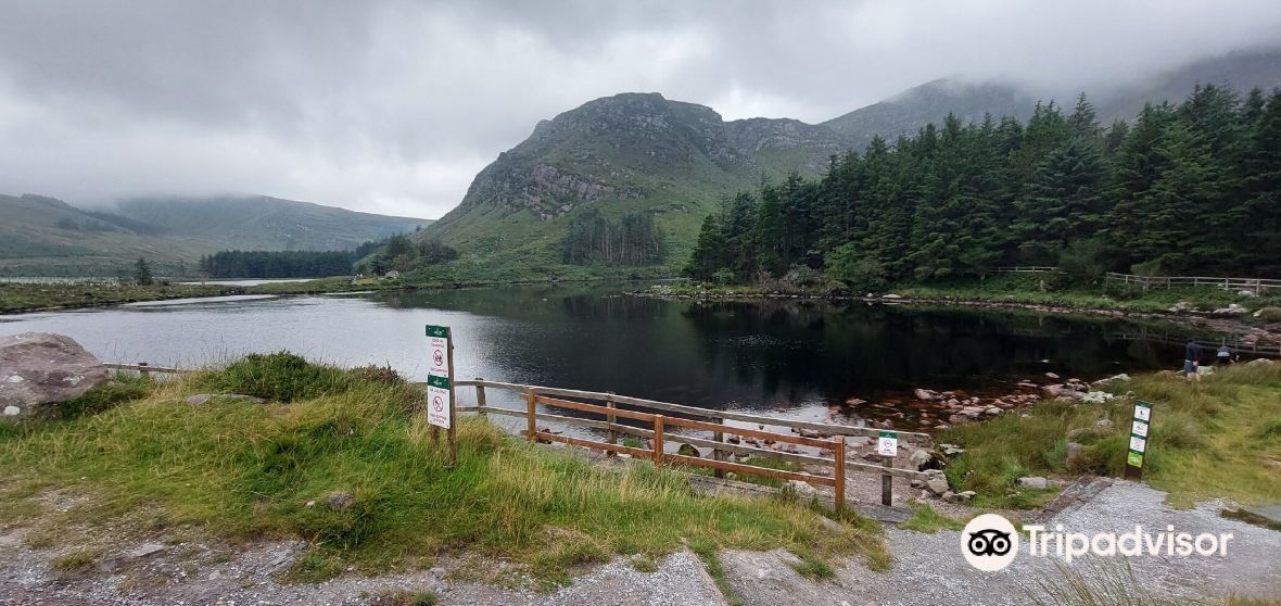 เที่ยวCastlegregory (2024) - ที่เที่ยวใน Castlegregory, กิจกรรมสนุกๆ ...