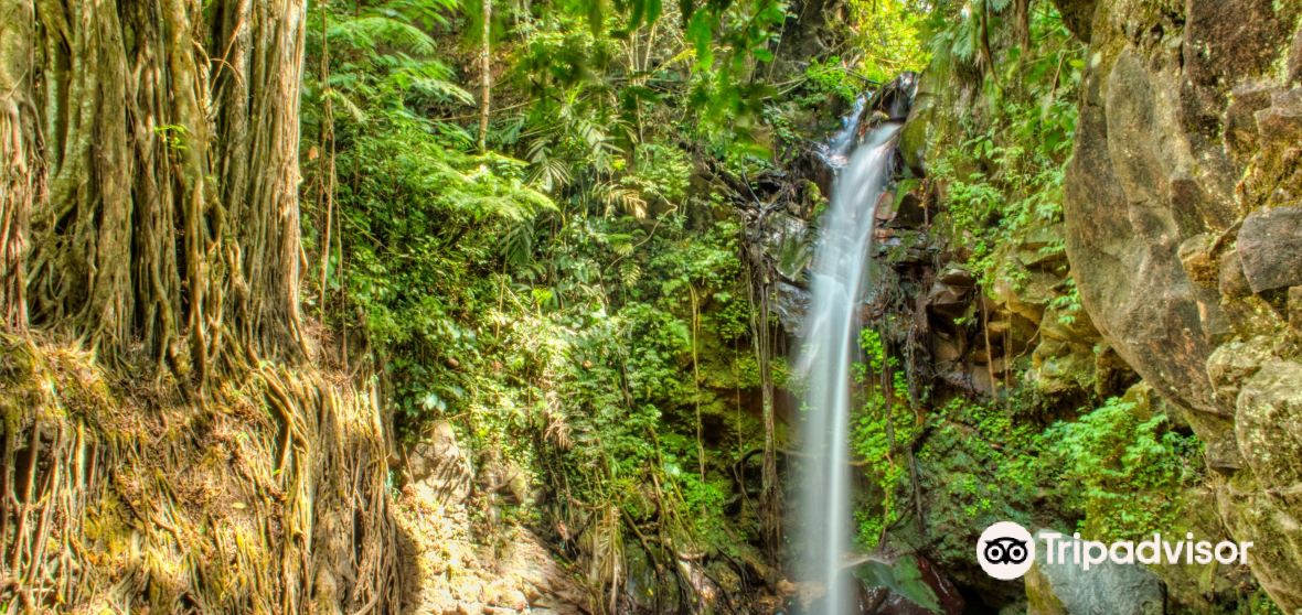 Kuningan 2023 Top Things to Do - Kuningan Travel Guides - Top ...