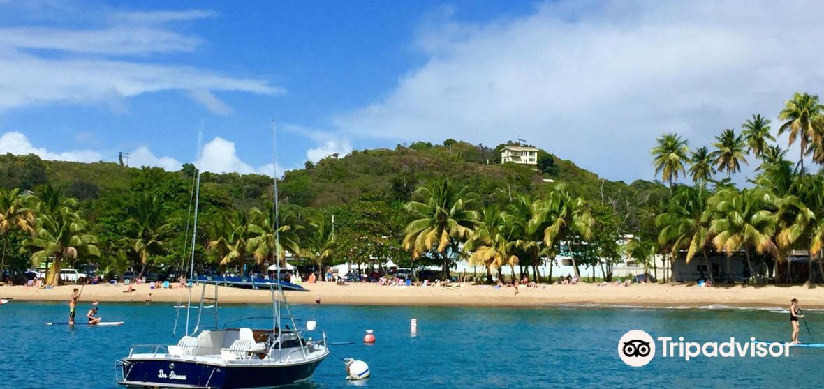 Rincon Travel Guide 2023 - Things to Do, What To Eat & Tips | Trip.com