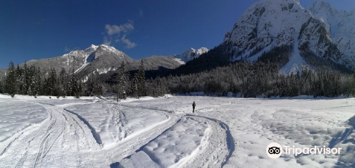 กิจกรรมน่าทำยอดนิยมในValbrunaประจำปี 2023 - คู่มือท่องเที่ยวValbruna ...