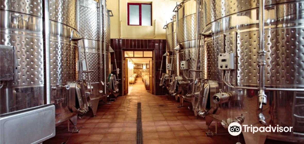 Amyntaio Travel Guide 2023 - Things to Do, What To Eat & Tips | Trip.com