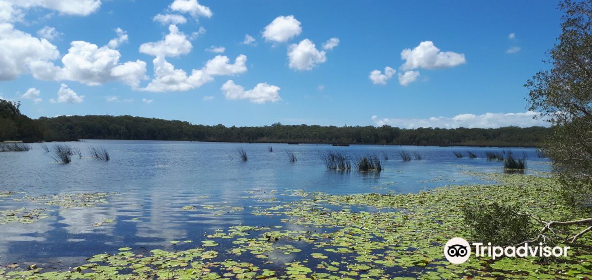 กิจกรรมน่าทำยอดนิยมในMooloolah Valleyประจำปี 2023 - คู่มือท่องเที่ยว ...