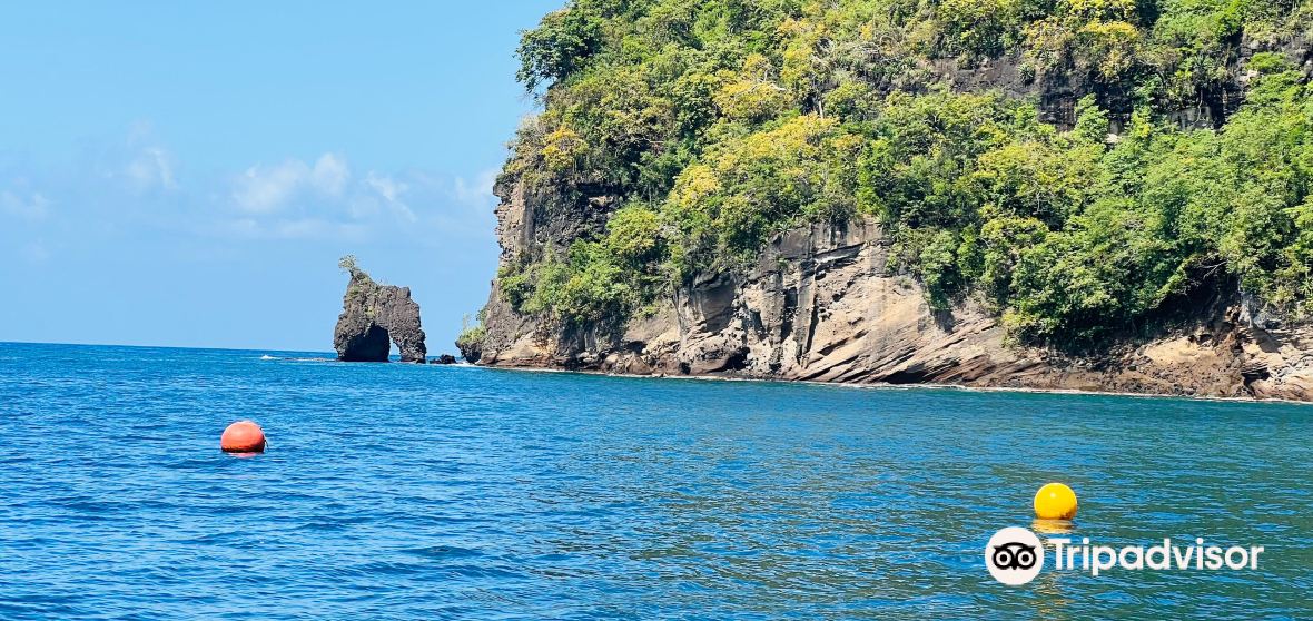 Barrouallie Travel Guide 2023 - Things to Do, What To Eat & Tips | Trip.com