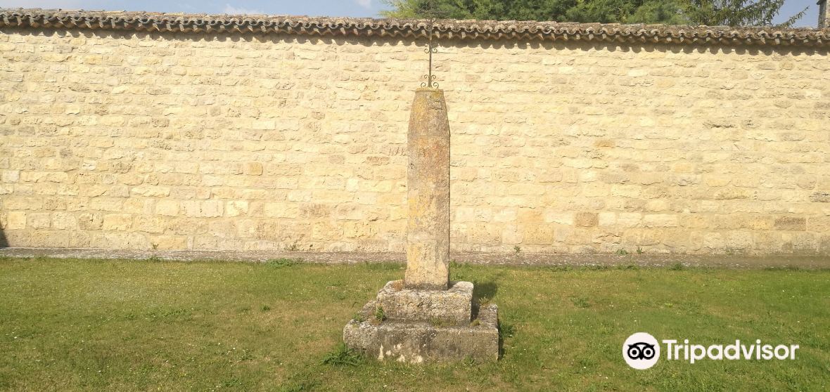 Tamaron Travel Guide 2023 - Things to Do, What To Eat & Tips | Trip.com