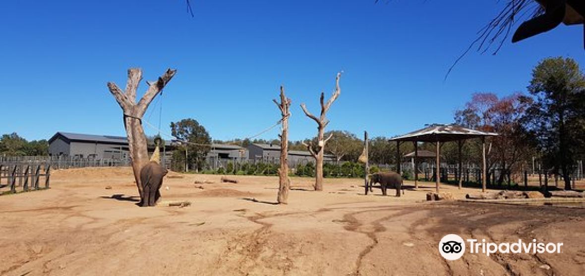 10 Best Things to do in Dubbo, New South Wales - Dubbo travel guides ...